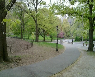 Liberty Park/Looped Path (Loop) | EraVerse Wiki | Fandom