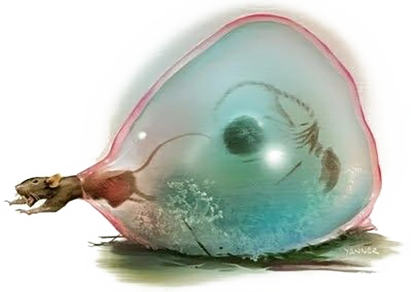 Schleime | Erem - Zaebos' Aufstieg Wiki | Fandom