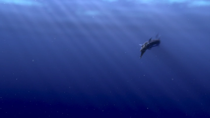 SKYWALKER, ROAR - BARRACUDA GROWL | Eric Thompson Wiki | Fandom