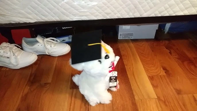 DanDee Shaking Pomeranian Dog | Eric’s Graduation Store Wiki | Fandom