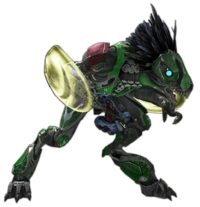 Rakatar | ERL Wiki | Fandom