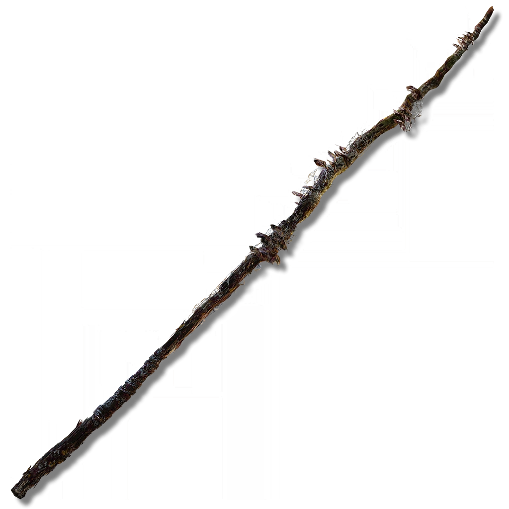 Disciple's Rotten Branch | Elden Ring Reforged Wiki | Fandom