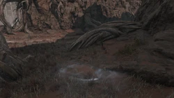 Latent Spiritsprings | Elden Ring Reforged Wiki | Fandom