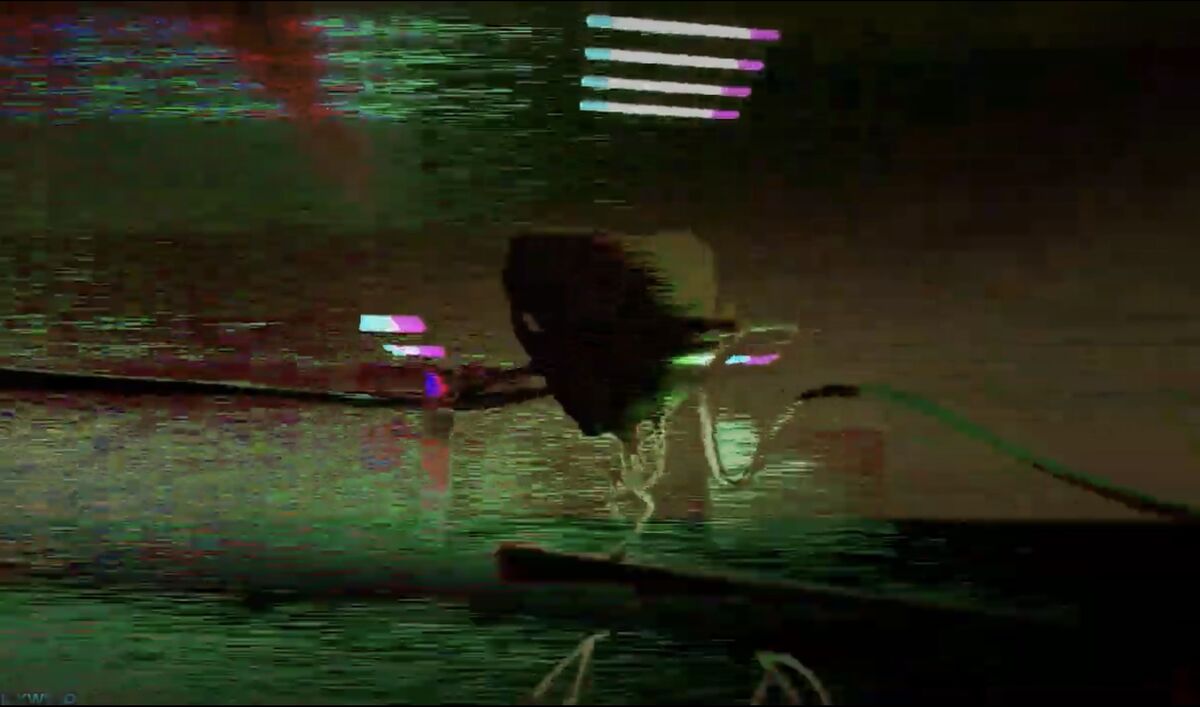 Howler | Escape The Backrooms Wiki | Fandom