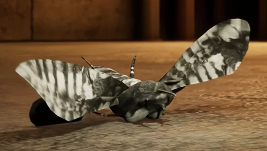 Death Moth | Escape The Backrooms Wiki | Fandom