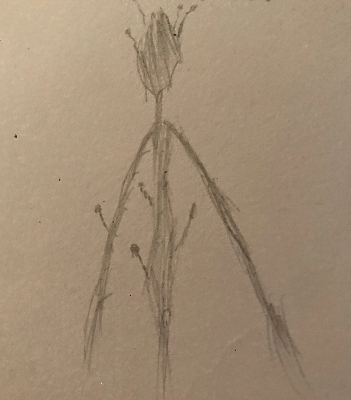 Stalker | Escape Wiki | Fandom