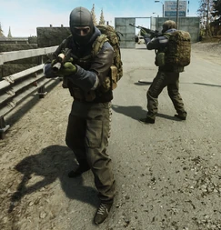 Chop the Thieving Hand - The Official Escape from Tarkov Wiki