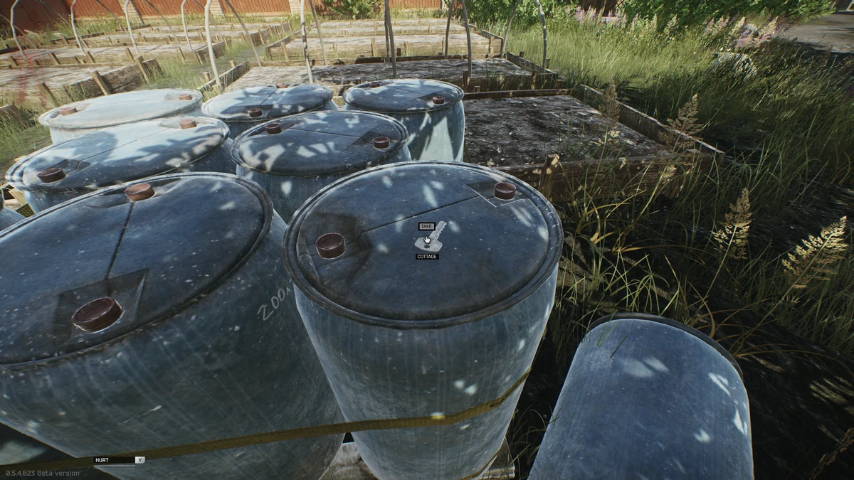 Cottage back door key - The Official Escape from Tarkov Wiki
