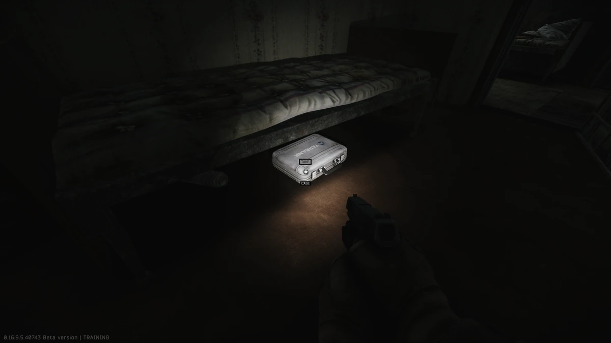 Mallette de banque — Escape from Tarkov Wiki