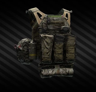 Crye Precision JPC Plate Carrier (MultiCam) - The Official Escape from ...
