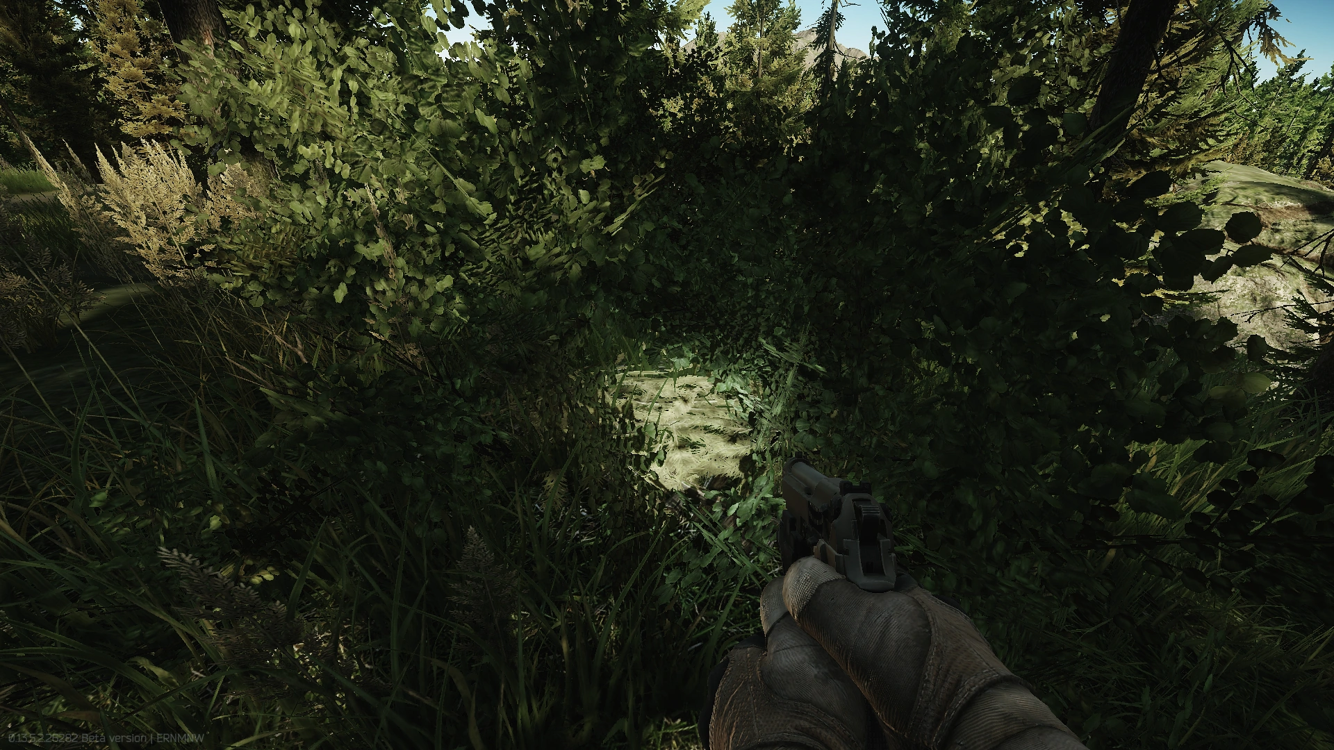 The Escape From Tarkov Woods Map Latest Guide 2020 Heavybulletscom