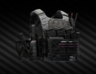 Spiritus Systems LV-119 Plate Carrier (Black Division V1) - The ...