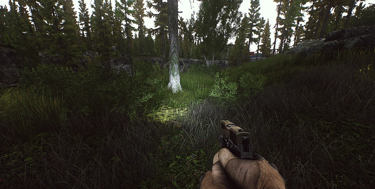 Map:Shoreline - The Official Escape from Tarkov Wiki