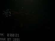 Level 7 - Thalassophobia | Escape The Backrooms Wiki | Fandom