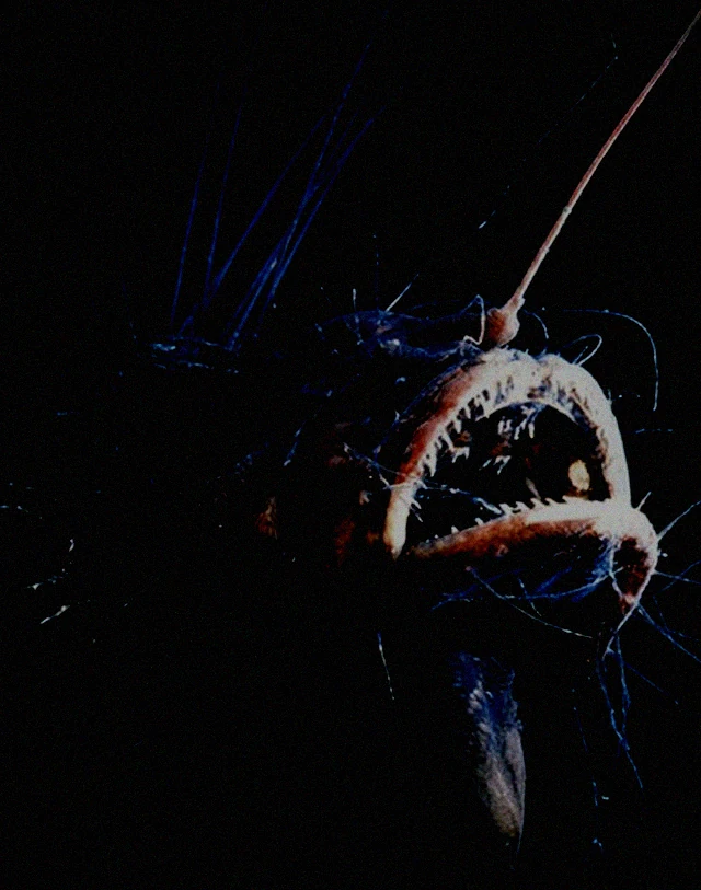 The Thing on Level 7 | Escape The Backrooms Wiki | Fandom