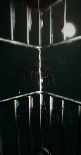 The Thing on Level 7 | Escape The Backrooms Wiki | Fandom
