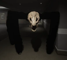 Aranea Membri | Escape The Backrooms Wiki | Fandom