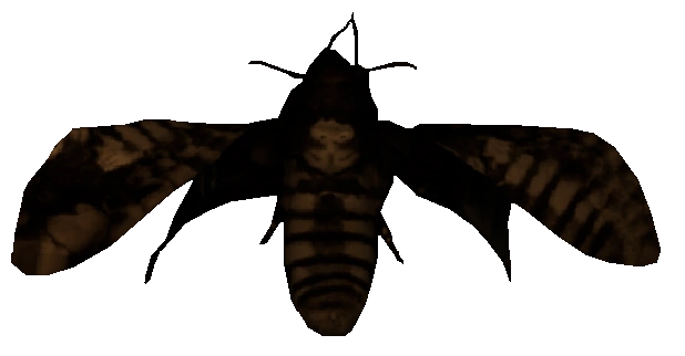 Female Death Moths | Escape The Backrooms Wiki | Fandom