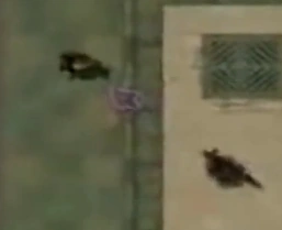 Rollo Tomassi | Grand Theft Encyclopedia | Fandom