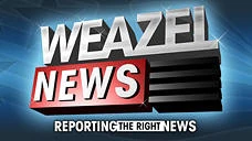 Weazel News | Grand Theft Encyclopedia | Fandom