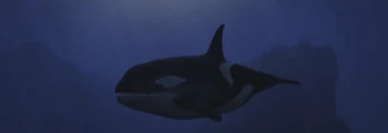 Orca | Grand Theft Encyclopedia | Fandom