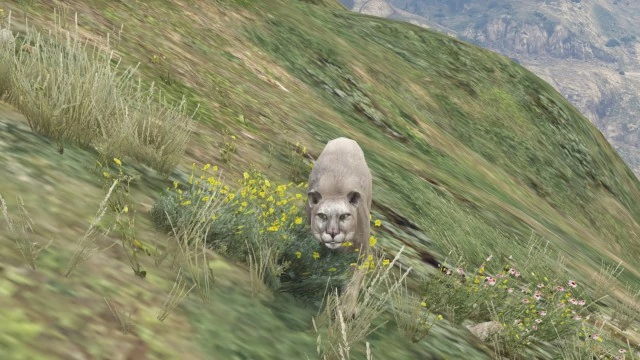 Puma | Grand Theft Encyclopedia | Fandom