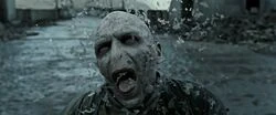 Última batalla de Lord Voldemort | Harry Potter Wiki | Fandom