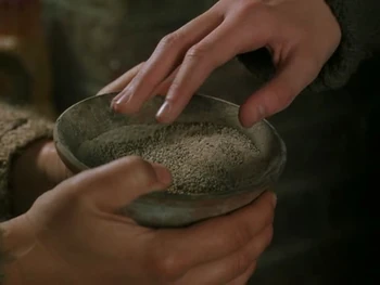Polvos Flu | Harry Potter Wiki | Fandom