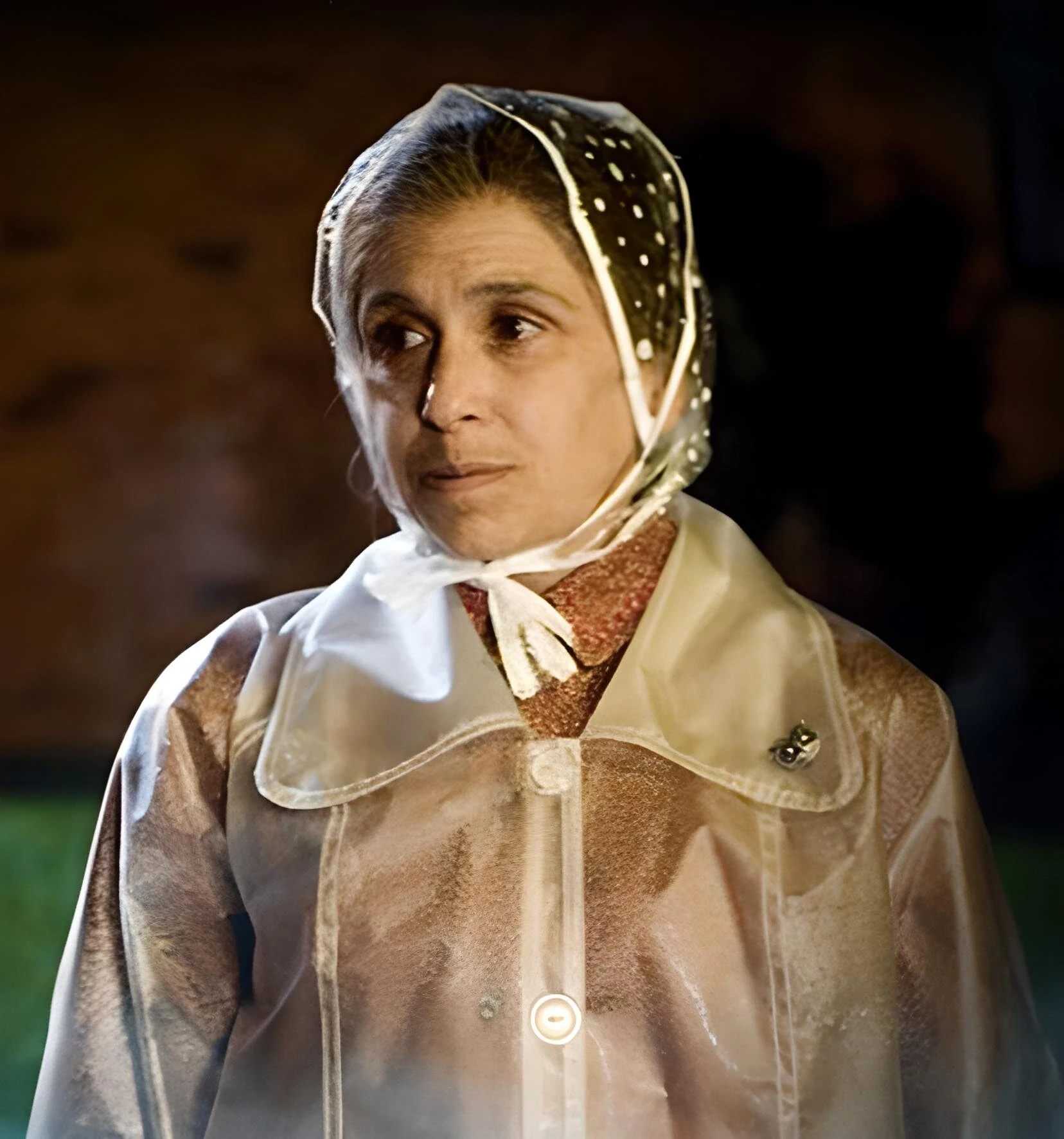 Arabella Figg | Harry Potter Wiki | Fandom