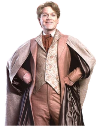 Gilderoy Lockhart | Harry Potter Wiki | Fandom