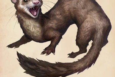 clabbert harry potter