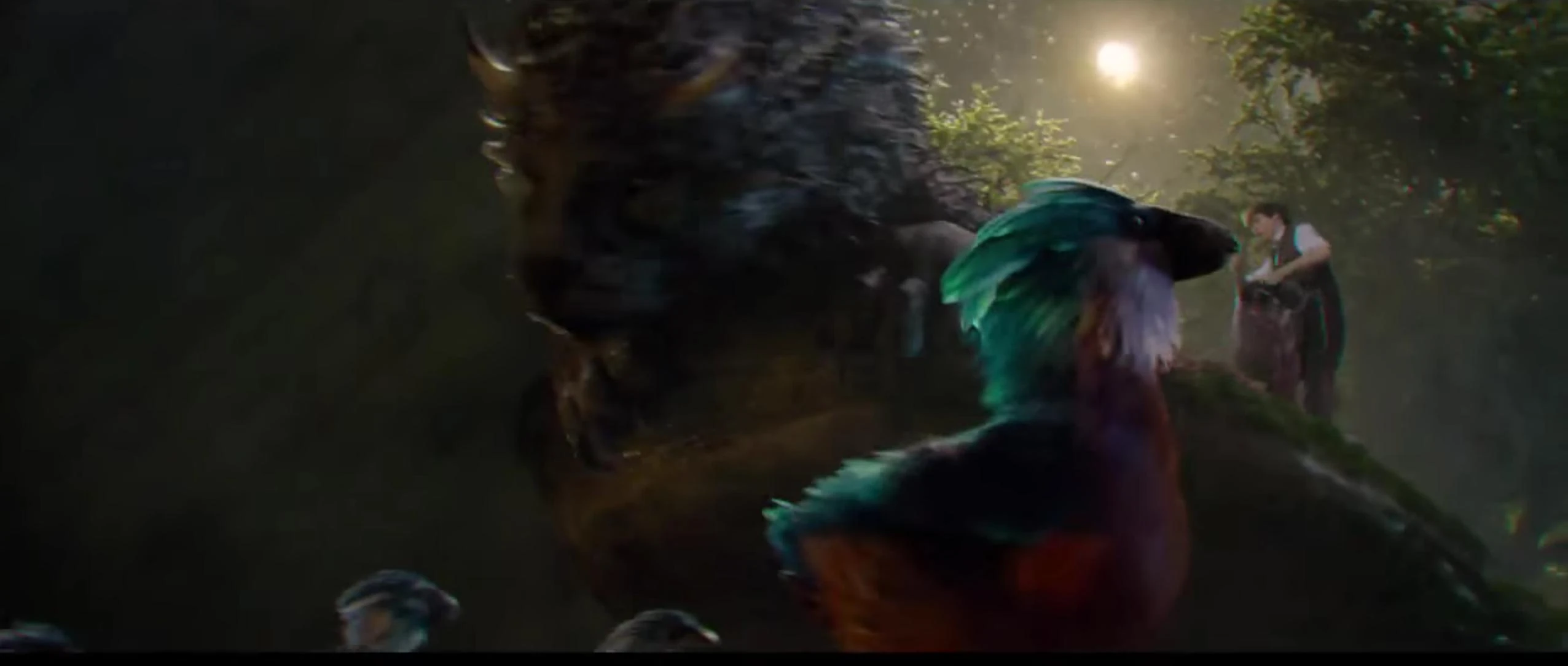 Diricawl Harry Potter