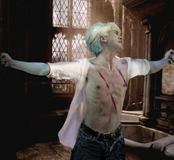 Sectumsempra | Harry Potter Wiki | Fandom