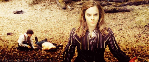 Protego totalum | Harry Potter Wiki | Fandom