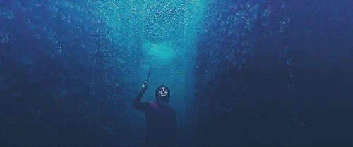 Periculum | Harry Potter Wiki | Fandom