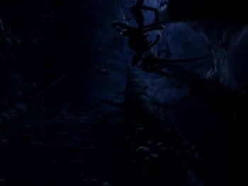 Colonia de Acromántulas del Bosque Prohibido | Harry Potter Wiki | Fandom