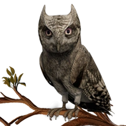 Búho Triste De Hogwarts