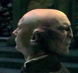 Quirinus Quirrell | Harry Potter Wiki | Fandom
