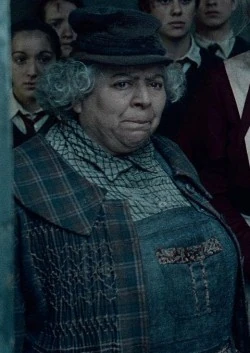 Pomona Sprout | Harry Potter Wiki | Fandom