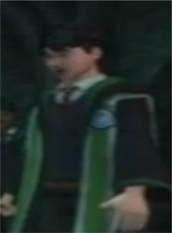 Prefecto de Slytherin del Corredor de las Mazmorras (I) | Harry Potter ...