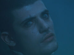 Viktor Krum | Harry Potter Wiki | Fandom