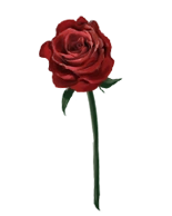 Rosa | Harry Potter Wiki | Fandom