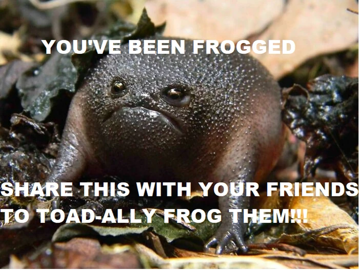 Frog | Eshun Wiki | Fandom
