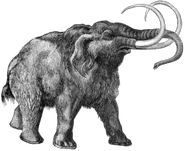 Flame Mammoth | Mega Man HQ | Fandom