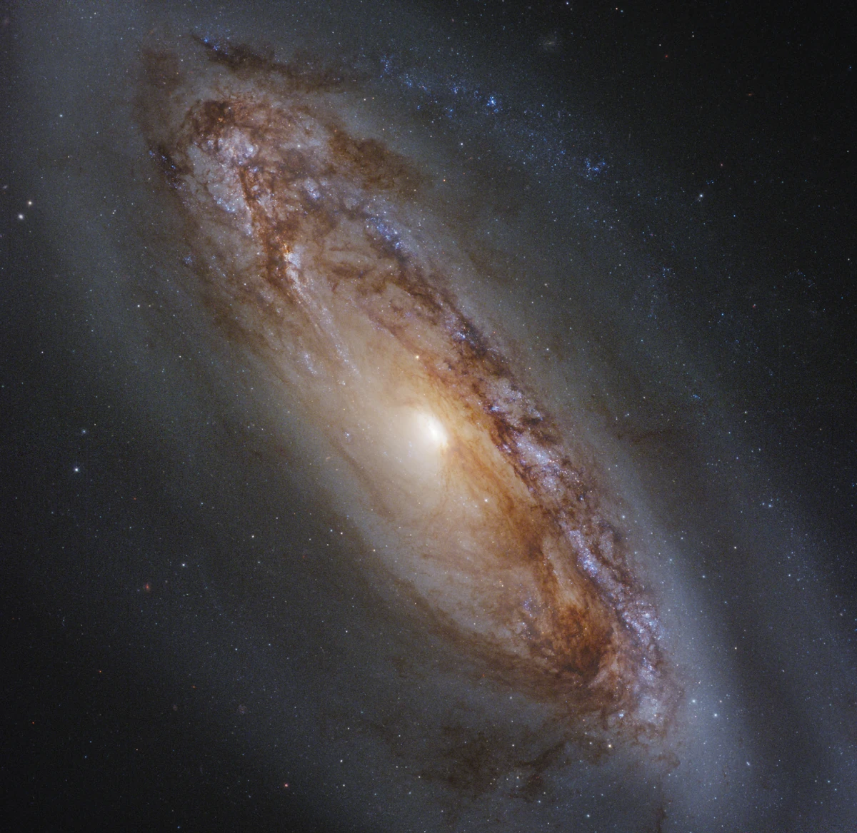 M90 | Wiki Astronomie | Fandom