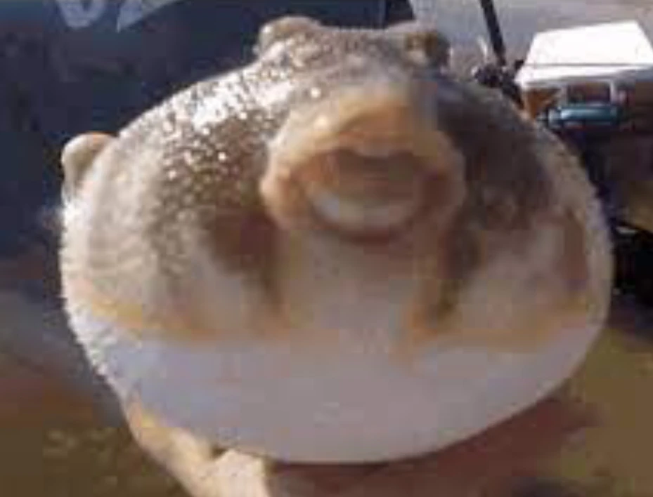 Moc | Espacio Mining Fan Ideas Wiki | Fandom