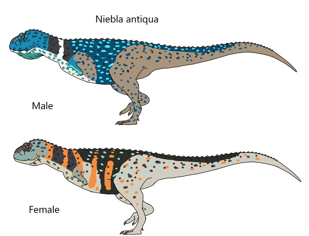 Niebla antiqua | Espèces de la Terre Wiki | Fandom