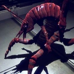 Rachni | Especies Alienígenas Wiki | Fandom