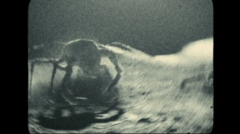 Alienígenas Rocosos (Apollo 18) | Especies Alienígenas Wiki | Fandom