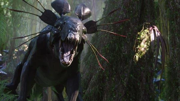 Palulukan | Especies Alienígenas Wiki | Fandom